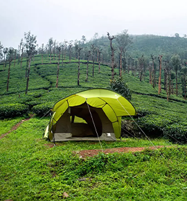 Wayanad
